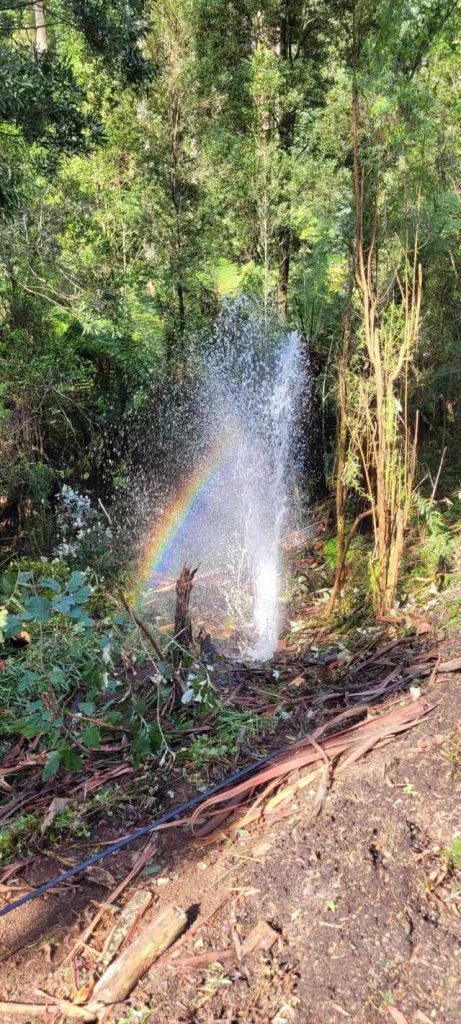 Emerald SES respond to 30+ calls amid strong winds | Ferntree Gully ...